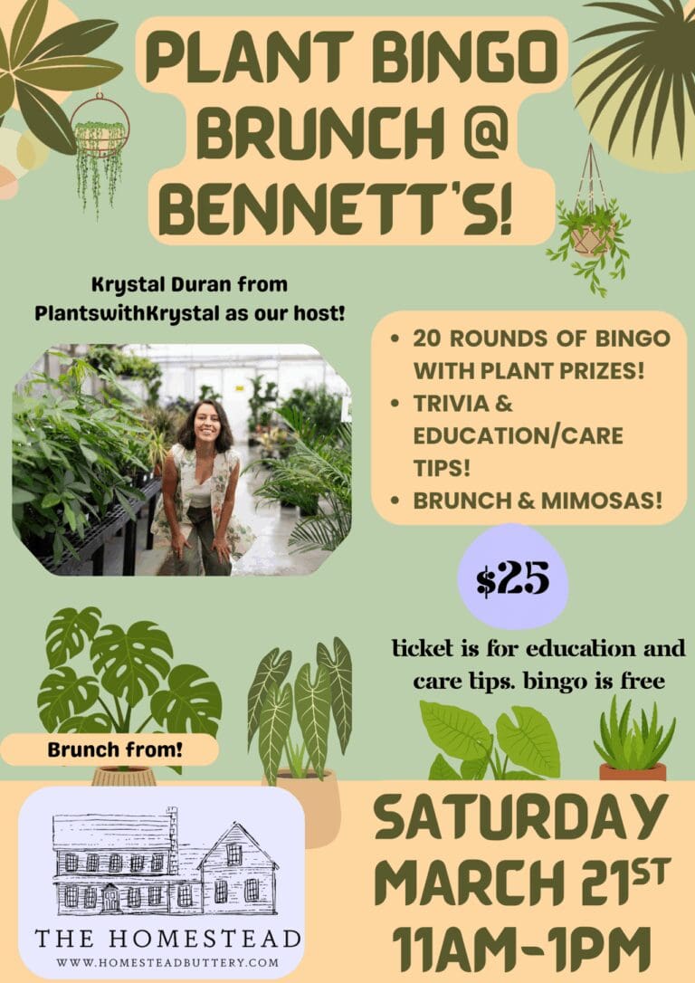 🌱 Plant Bingo Brunch 🌱 - Bennett's Greenhouse